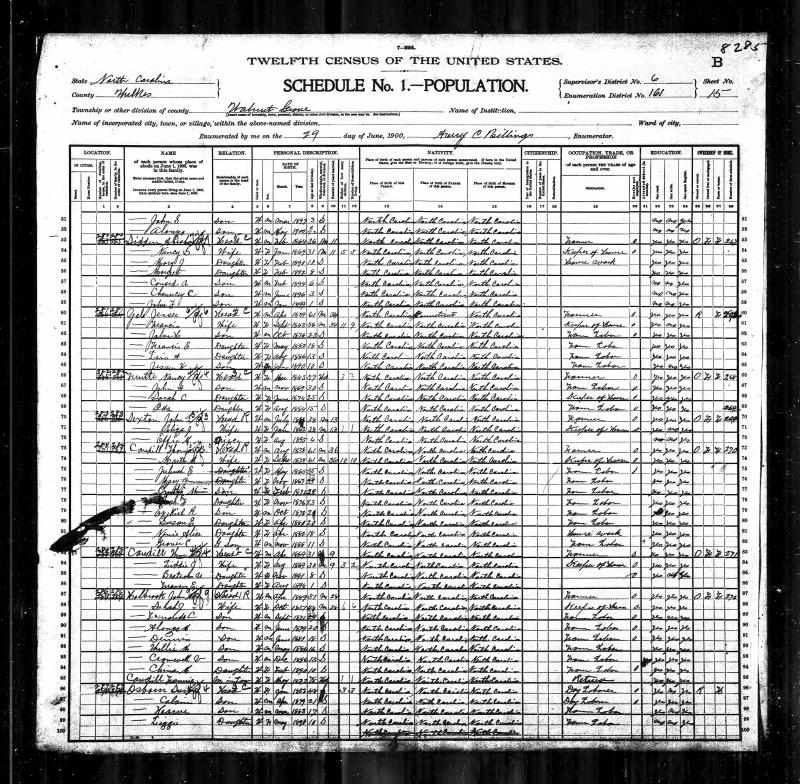 1900 United States Federal Census