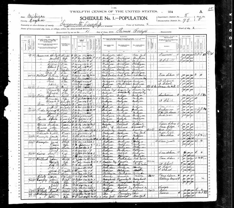 1900 United States Federal Census